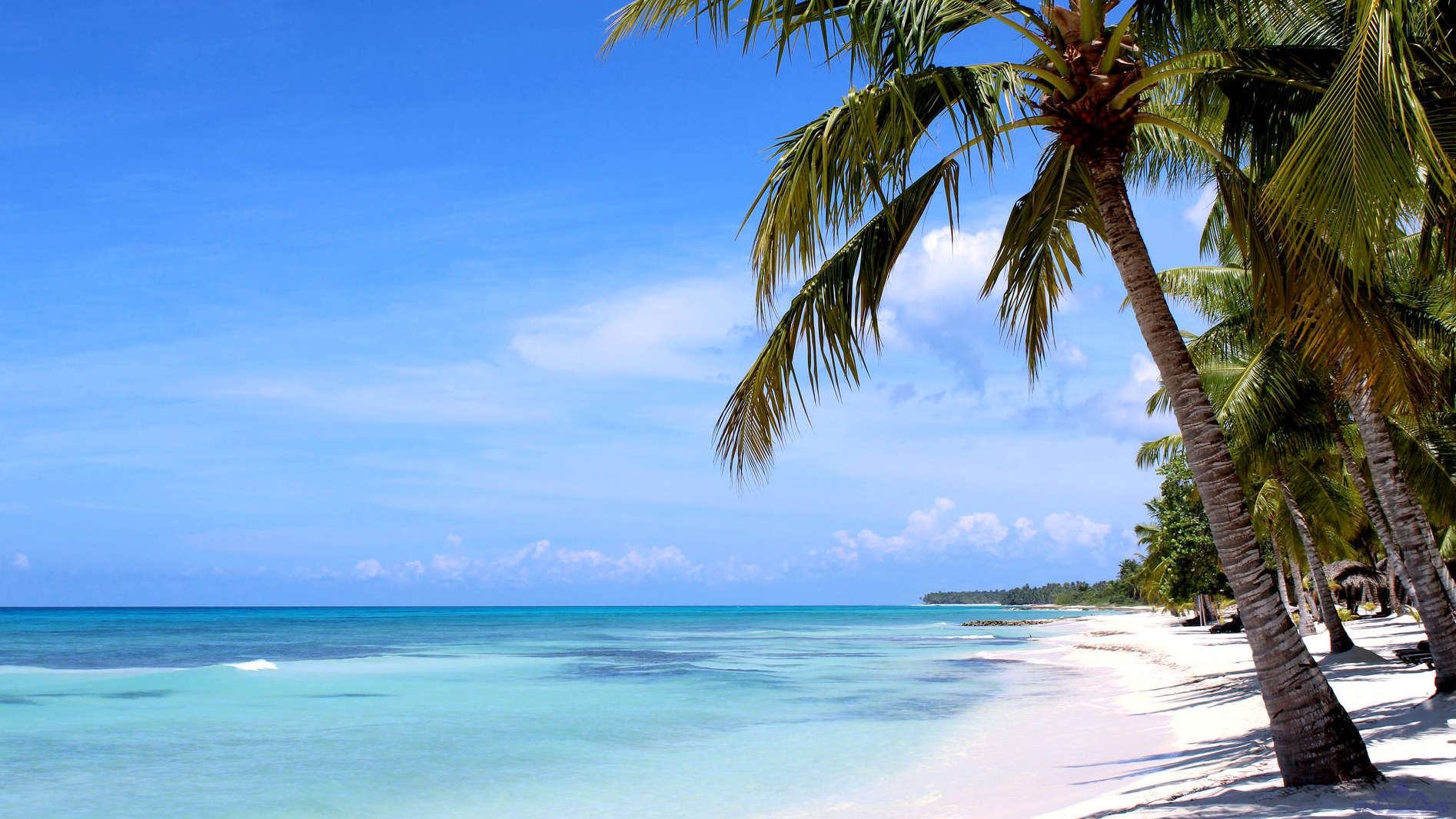 Magical excursions in the Dominican Republic - Mariposa Tours Bayahibe ...